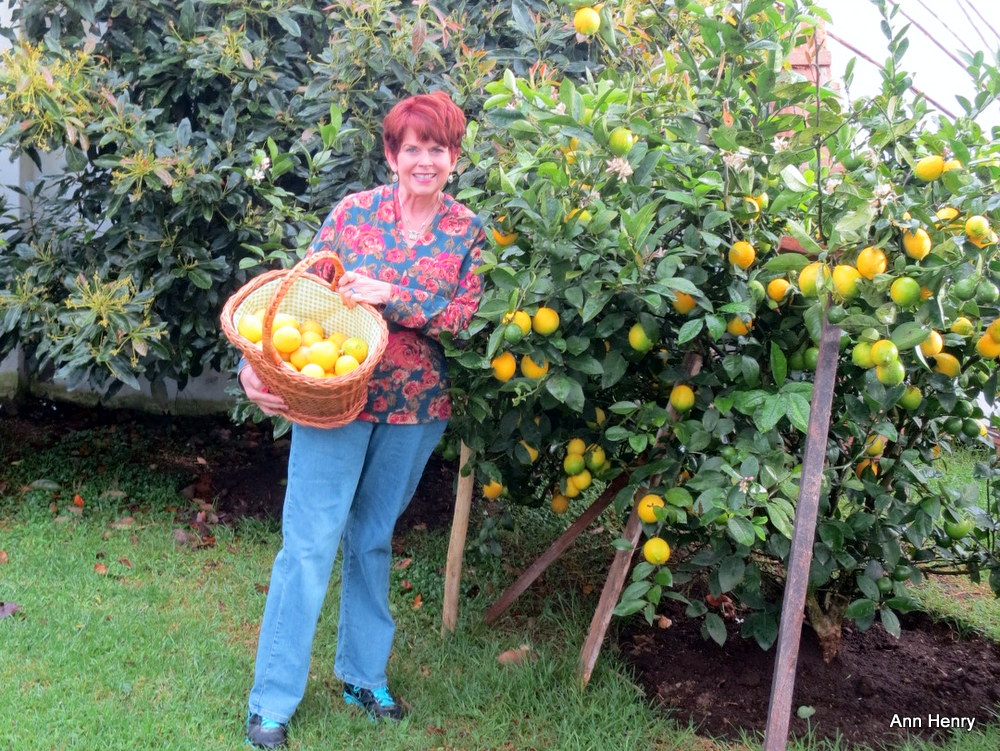 So Thinking About Moving To Ecuador? | Texas Annie: Ecuador Adventure